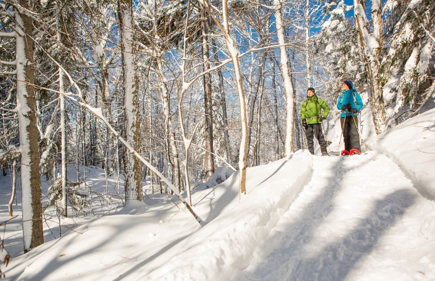 Raquette Parc national du Mont-Tremblant - Activités hiver | D-Tour
