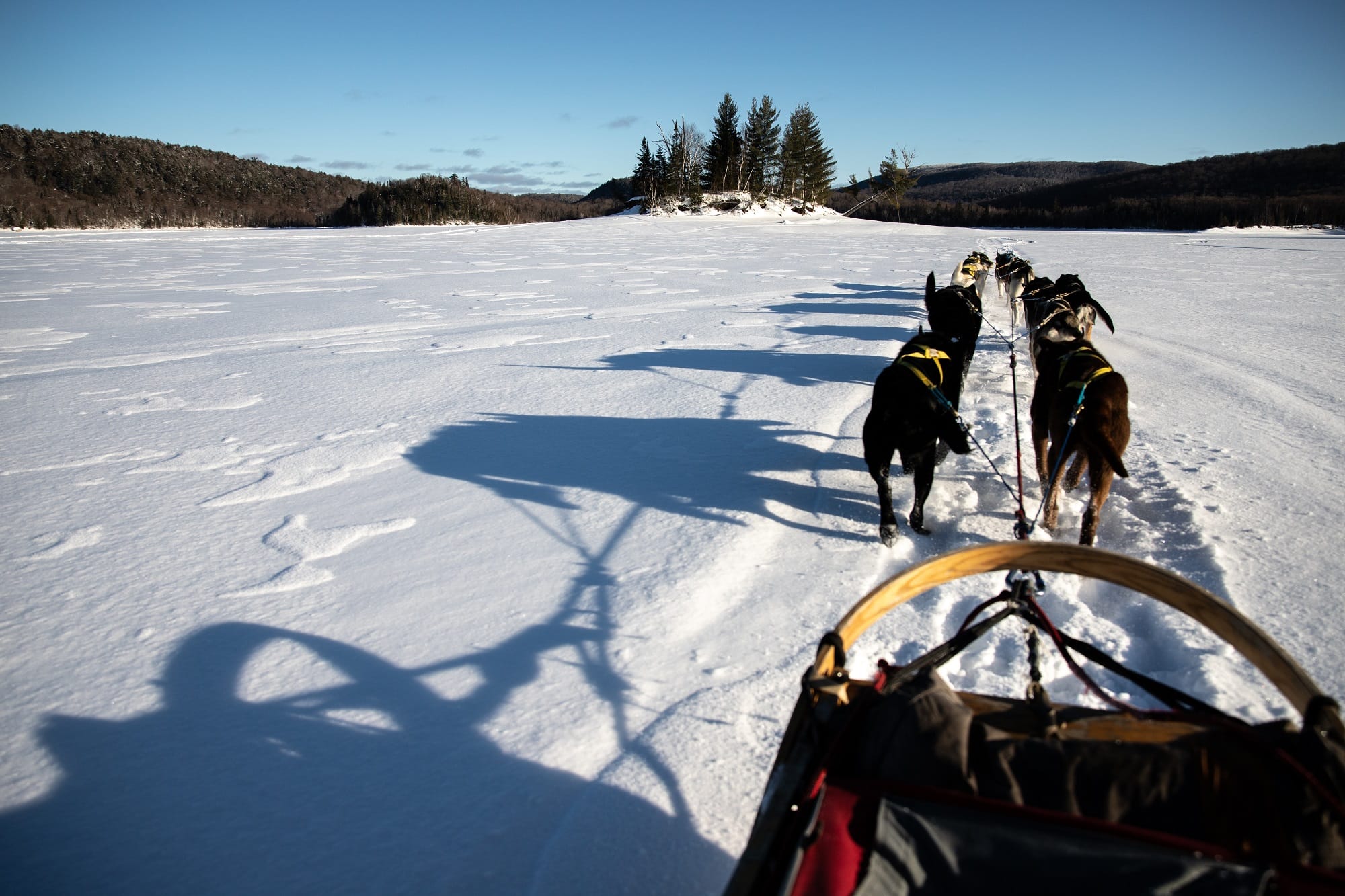 LE COUREUR DES BOIS | D-Tour